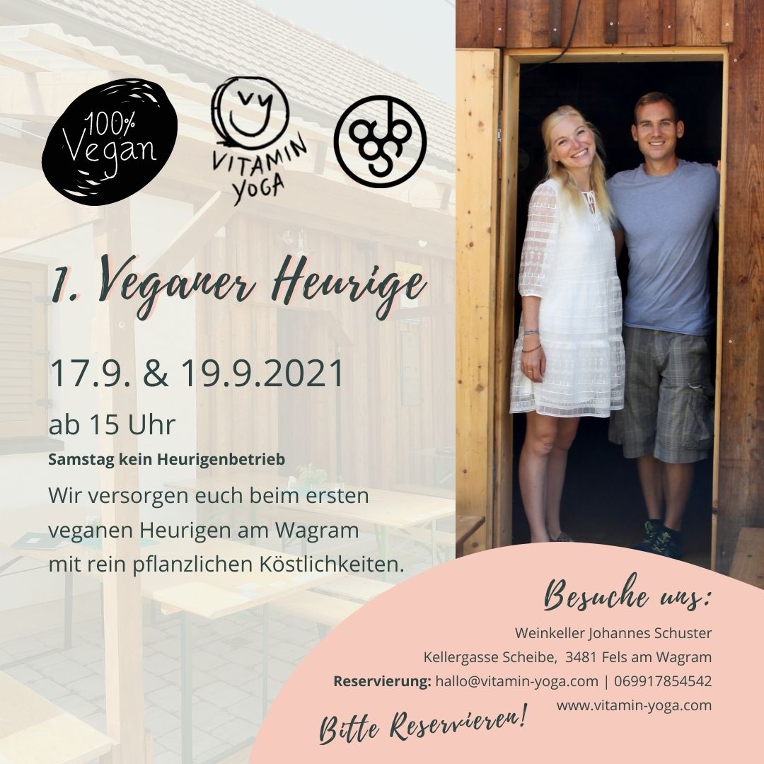 Veganer Heurige am Wagram - Kellergasse Scheibe